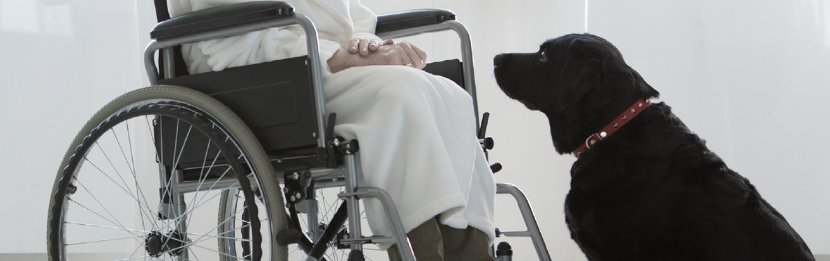 Making Sense of Taxability in Long-Term Disability Plans - CRC Benefits